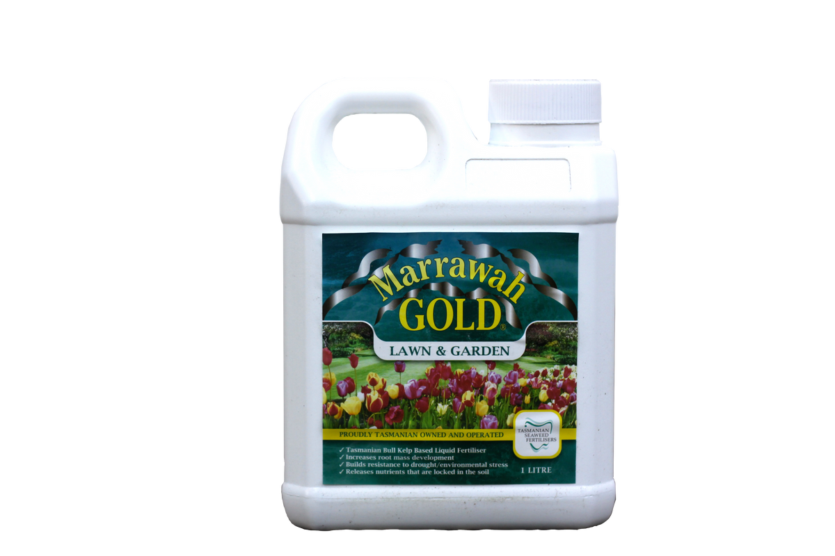 Tasmanian Seaweed Fertilisers - Marrawah Gold Lawn & Garden 1L
