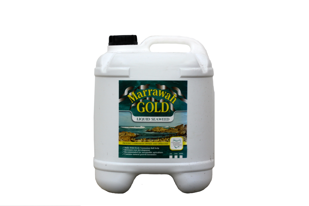 Products – Tasmanian Seaweed Fertilisers