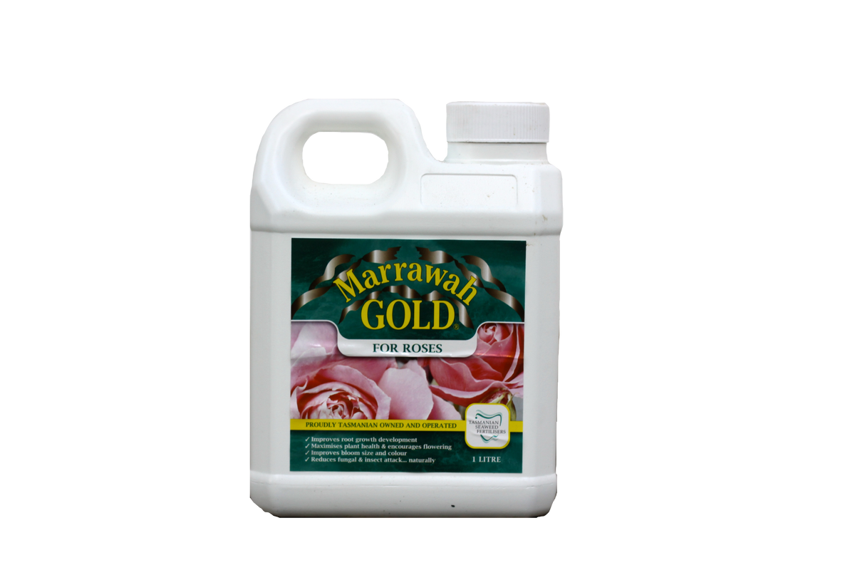 Tasmanian Seaweed Fertilisers - Marrawah Gold Roses 1L